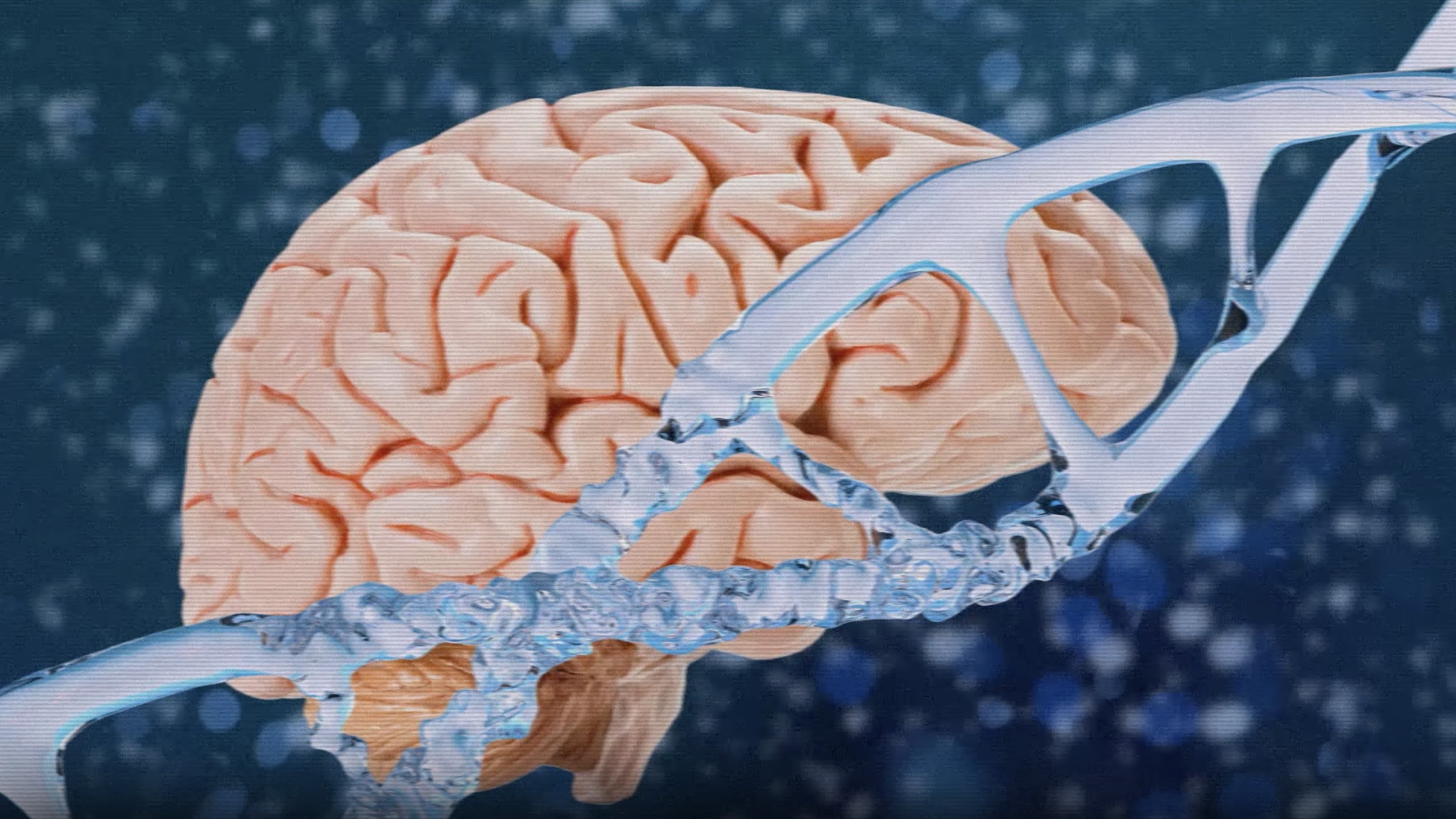 Portico Magazine | Spring 2025 | Portico Magazine | UCL