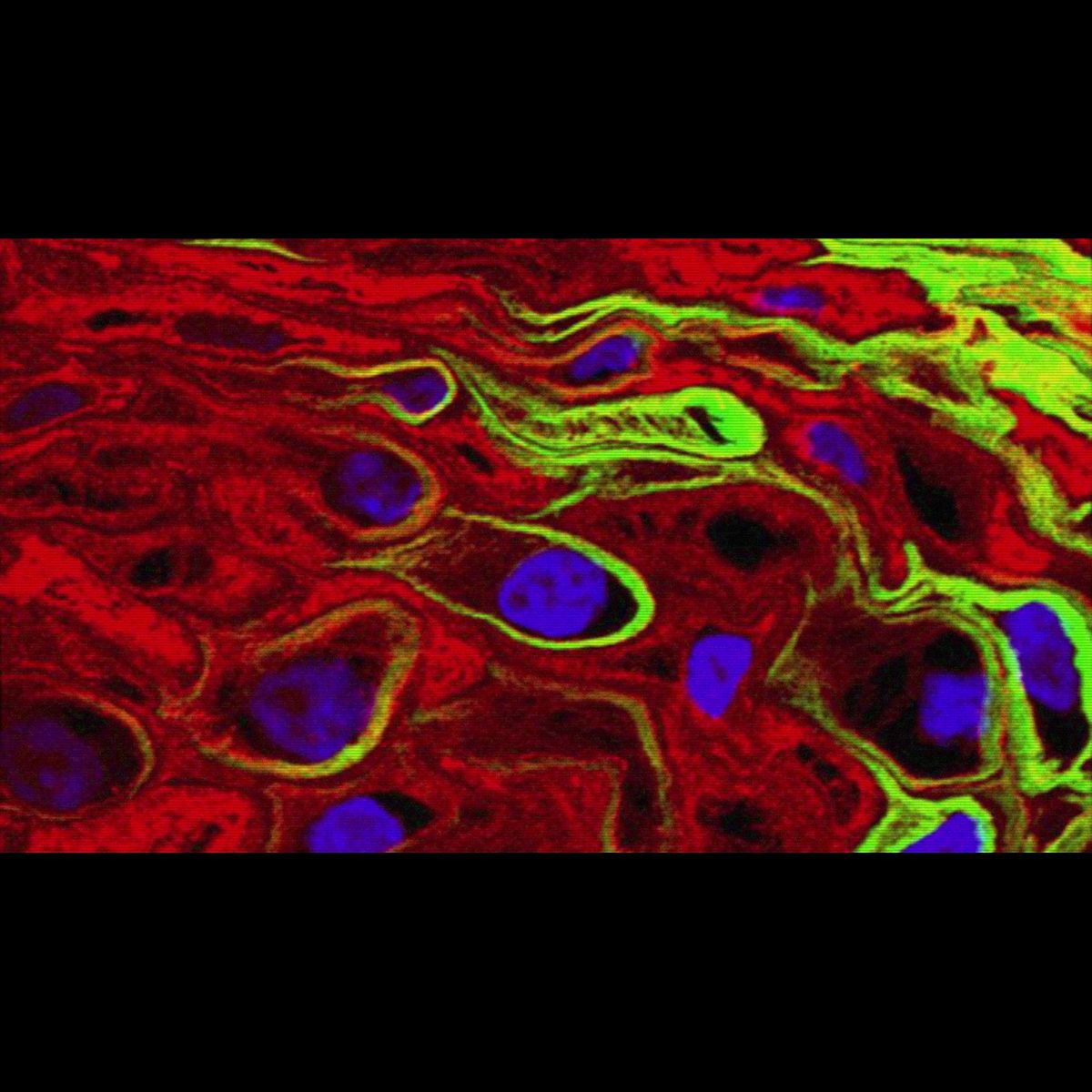 Innovation Insights | Portico Magazine | UCL